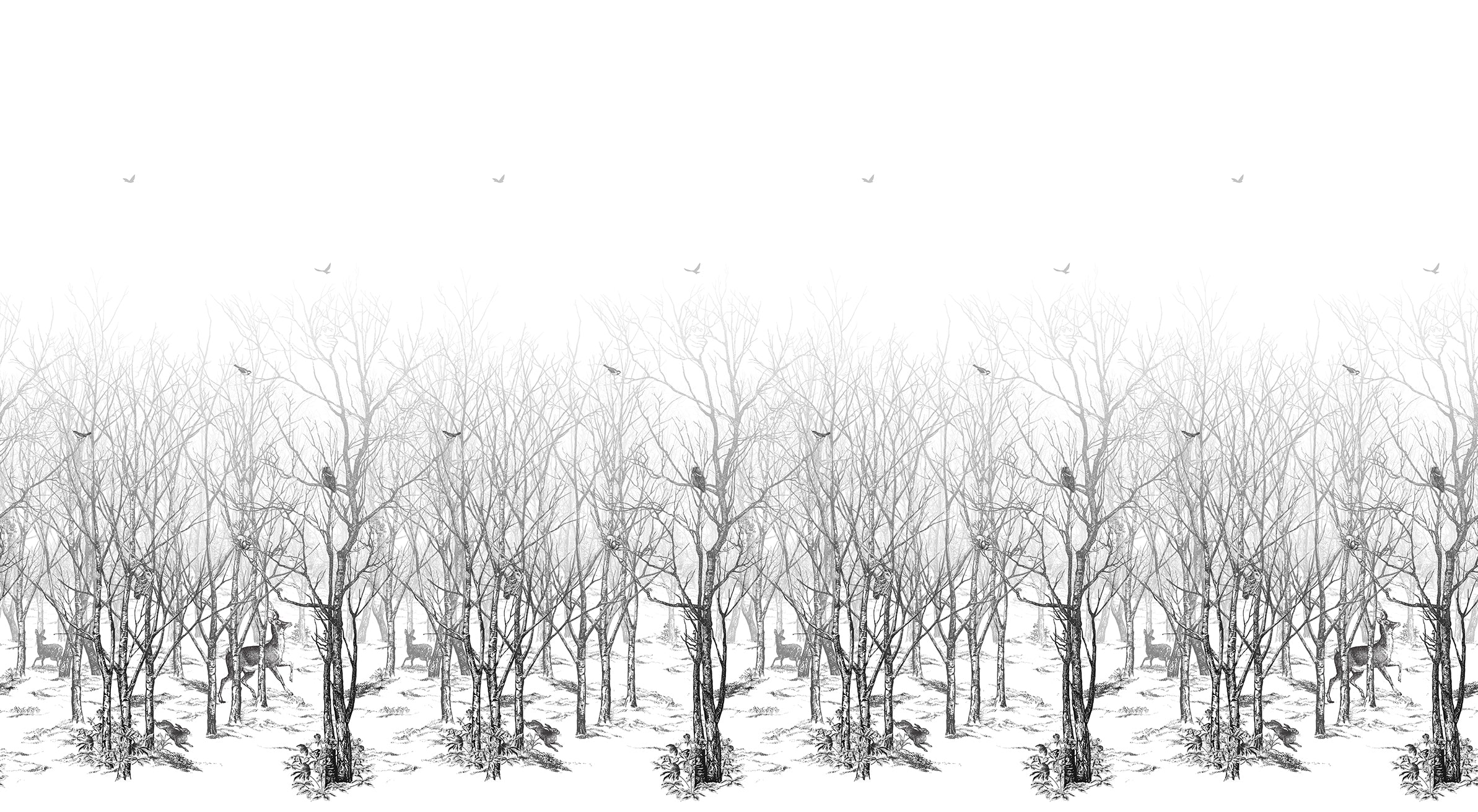 Papier peint panoramique sur mesure Forêt enchantée par Alexandre ...