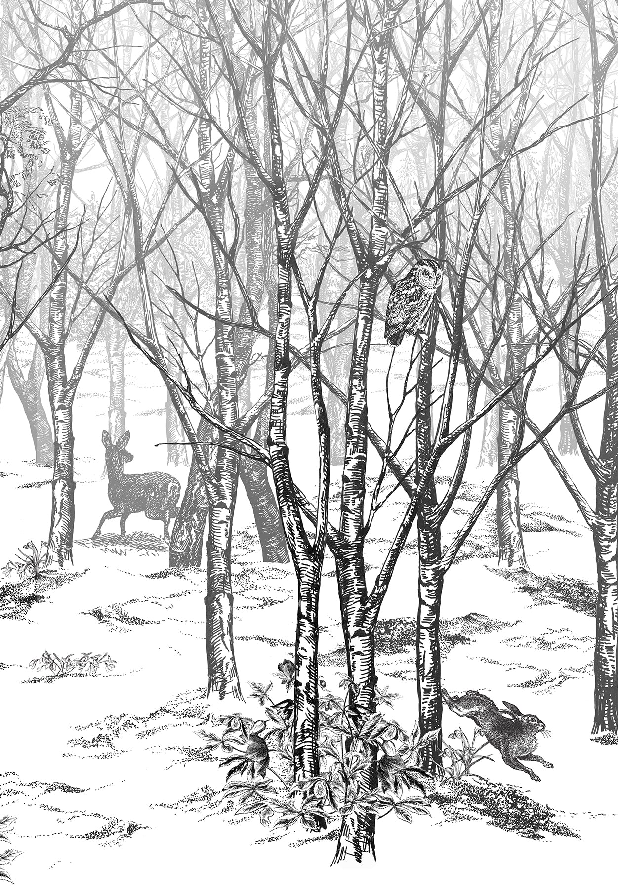 Papier peint panoramique Forêt enchantée par Alexandre Turpault ...